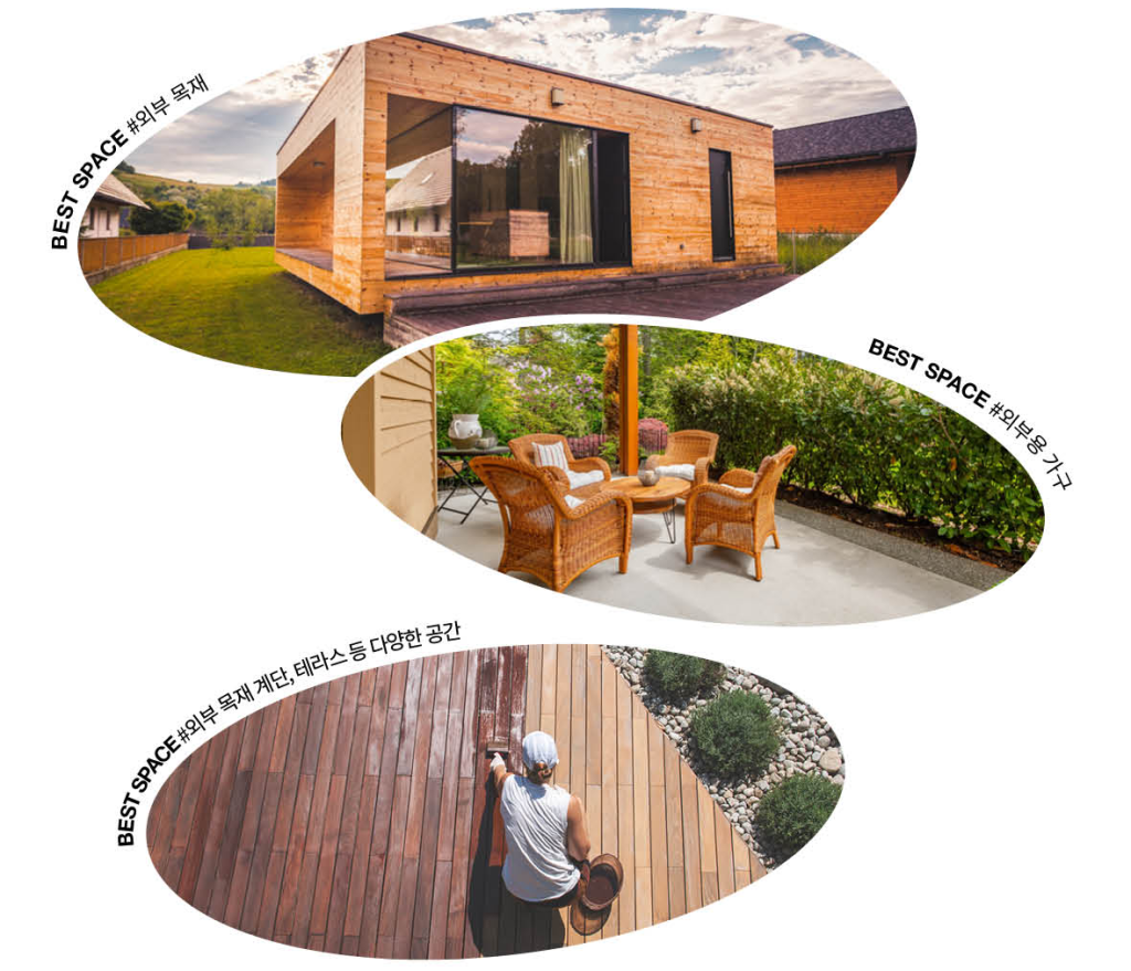 Samhwa's Pick | 삼화페인트